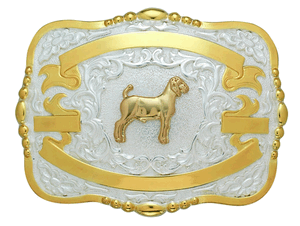 Men's Belts & Buckles – Irvine Tack & Western Wear