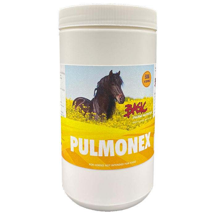 Basic Equine Pulmonex – Irvine Tack & Western Wear
