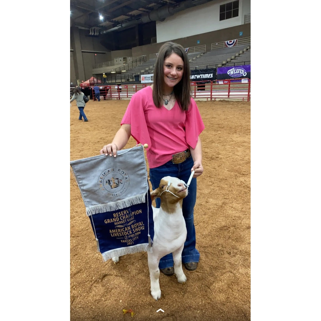 Phantom Cable Halter Sheep & Goat